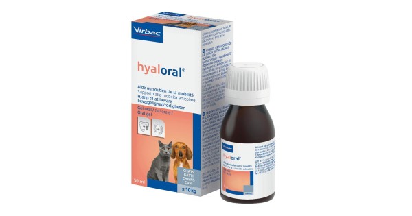 HYALORAL GEL ORALE 50ML | Openfarma